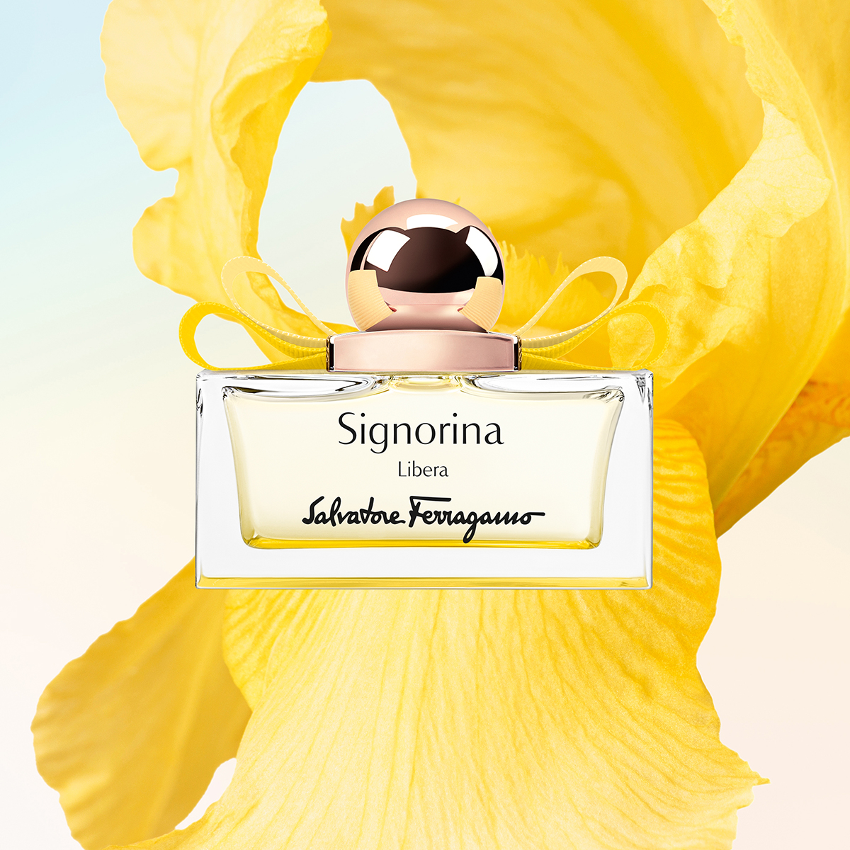 Discover the joyful new fragrance by Ferragamo, Signorina Libera ...