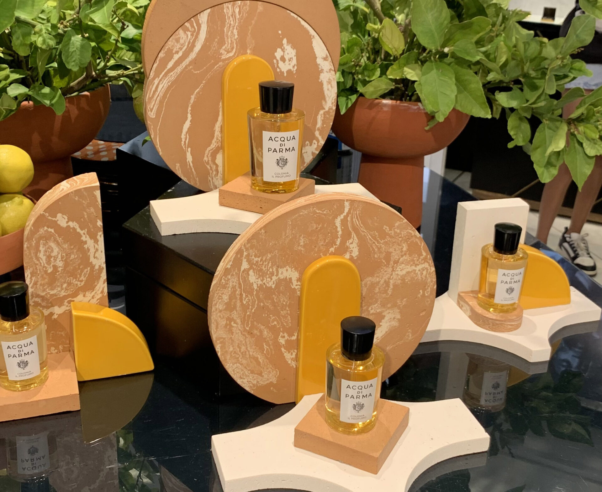 Acqua di Parma’s reimagined Colonia Il Profumo is the perfect blend of ...
